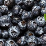 Premium Health Ingredients for Better Living • Phytonet